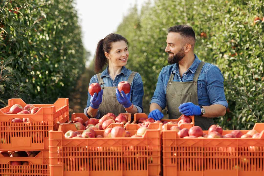 Análise Detalhada do Setor Primário na Economia Brasileira - Blog ...